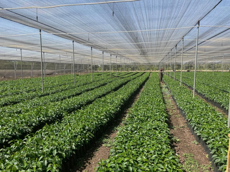 Fully Automated subsurface drip Irrigation - Metzer